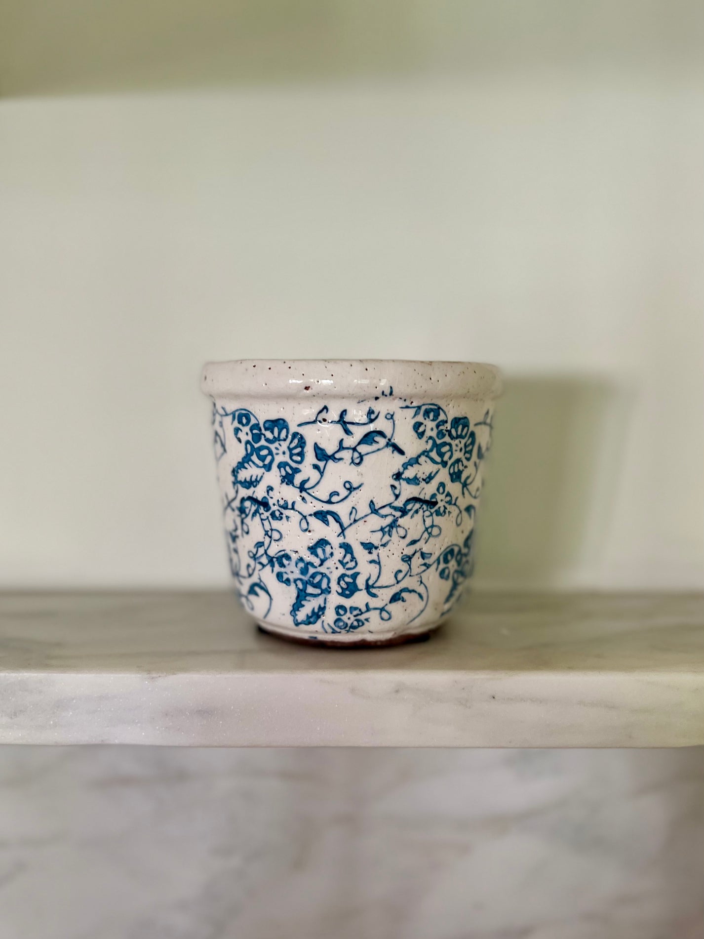 Blue & White Pot – Heirloom Terrain