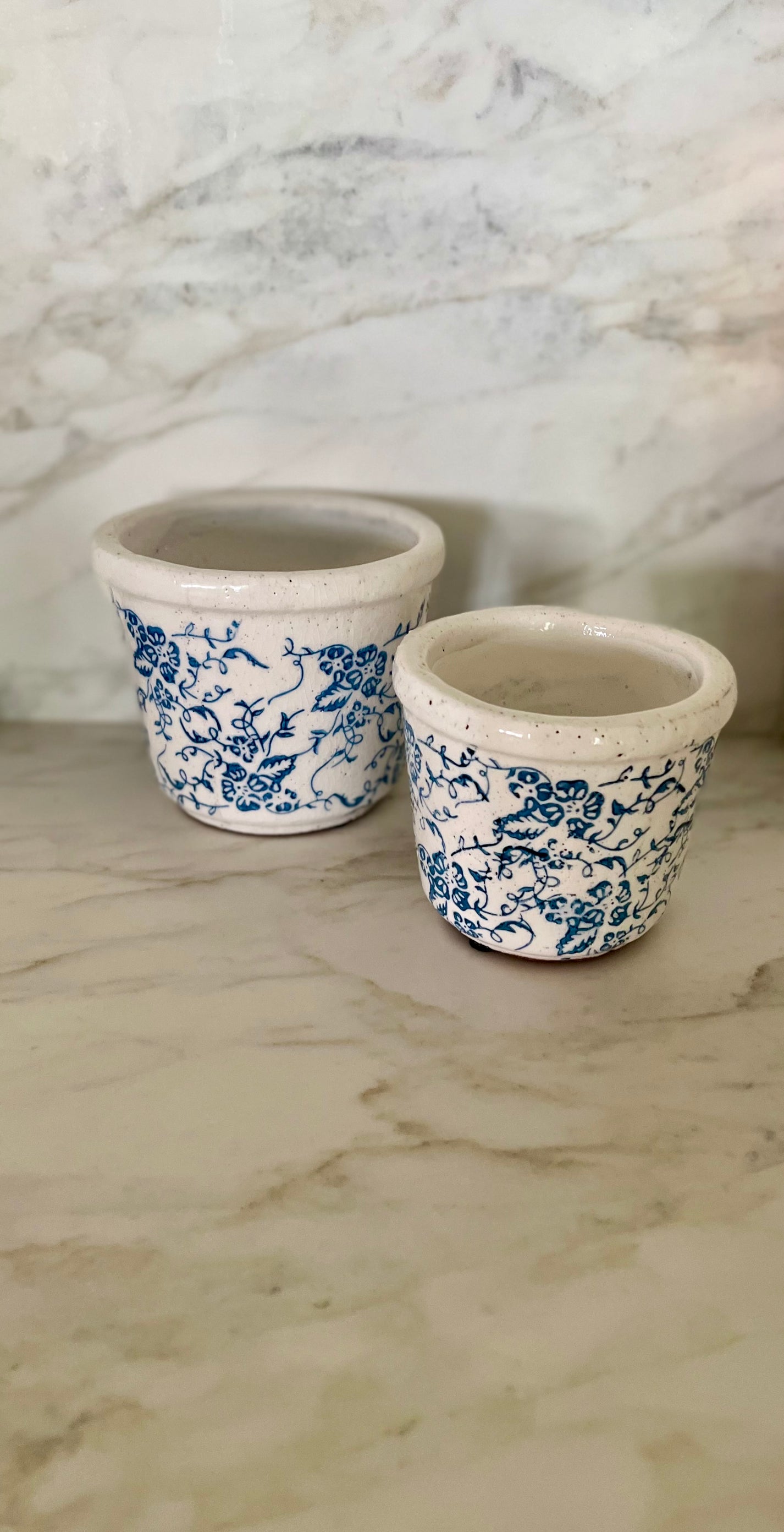 Blue & White Pot – Heirloom Terrain