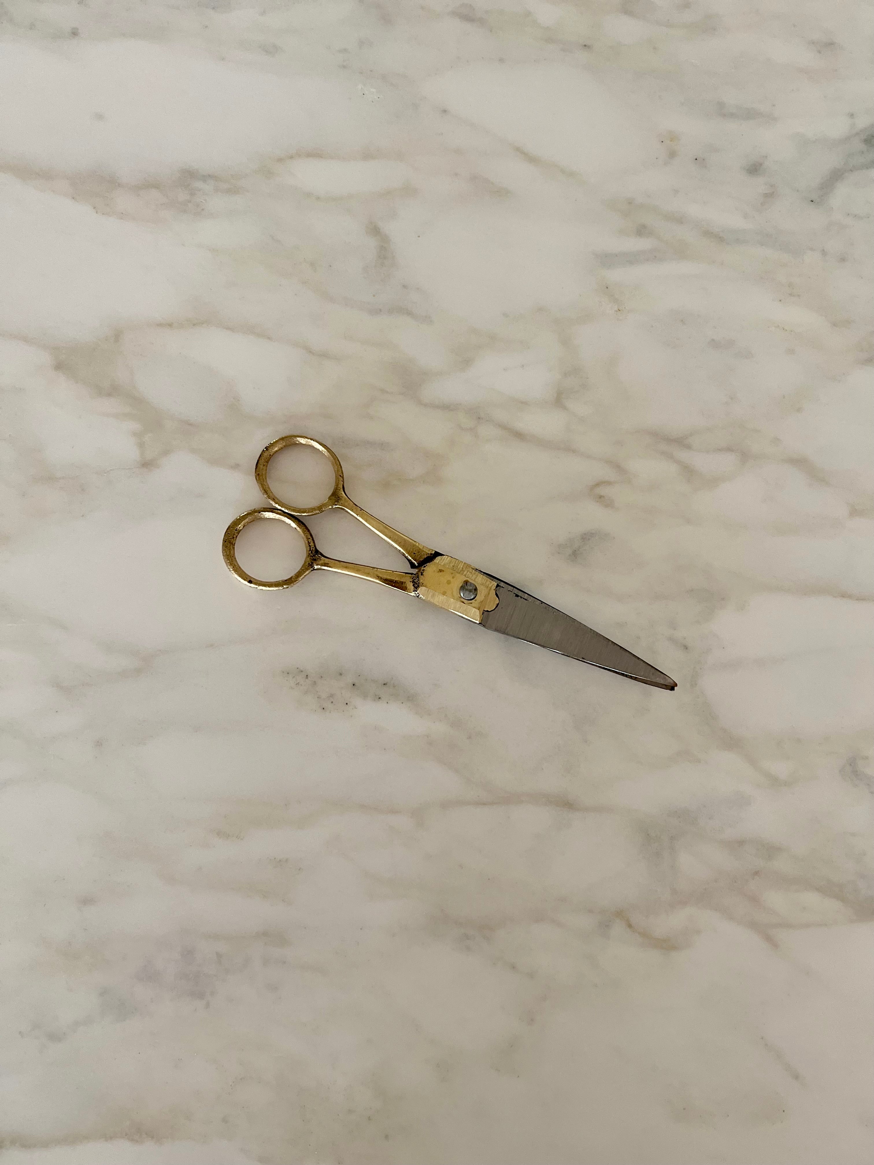 Petite Brass Handle Scissors – Heirloom Terrain